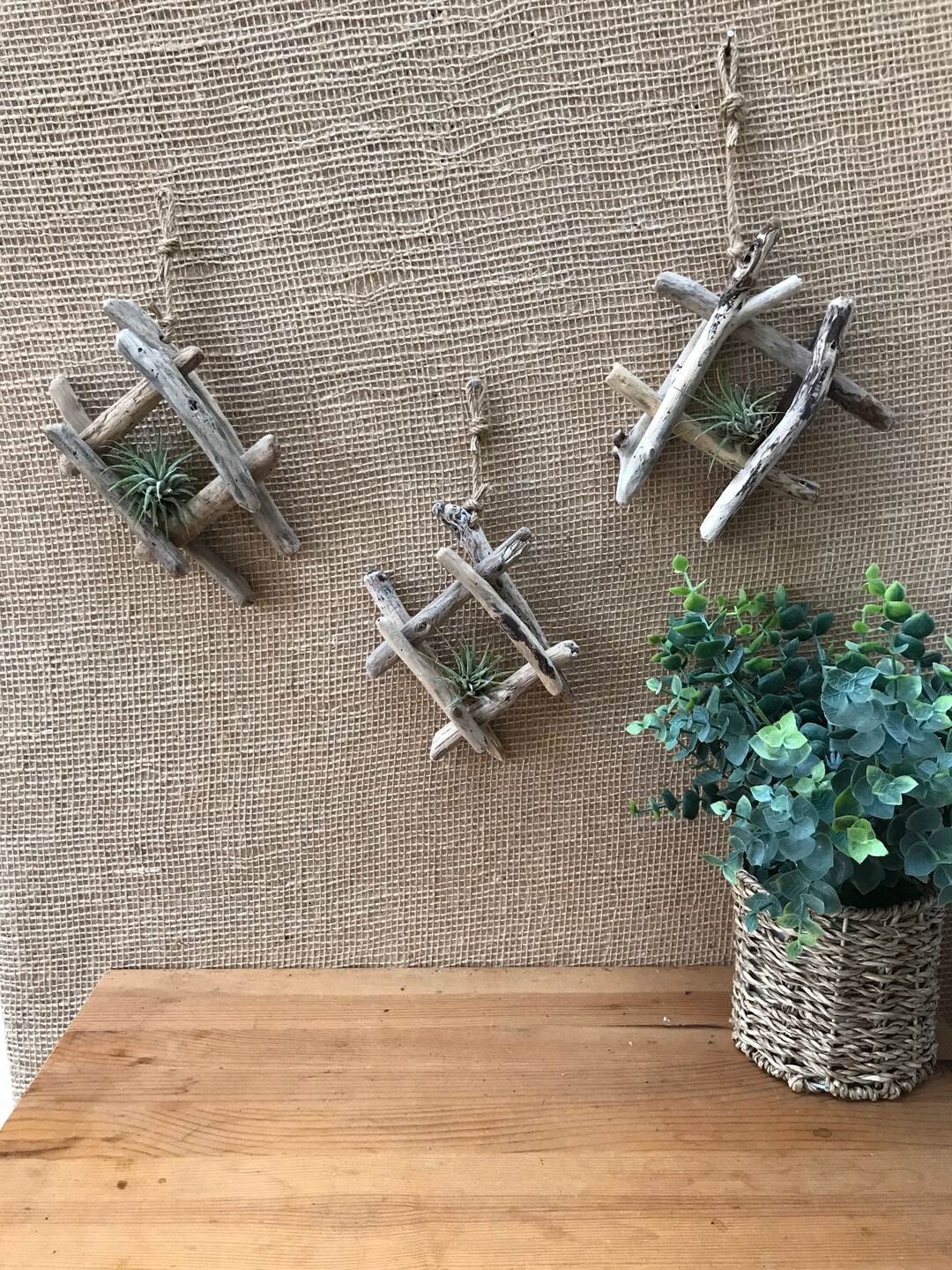 Driftwood Floating Shelf Shelves Wall - Shadow Box Air Plant Holder Air ...