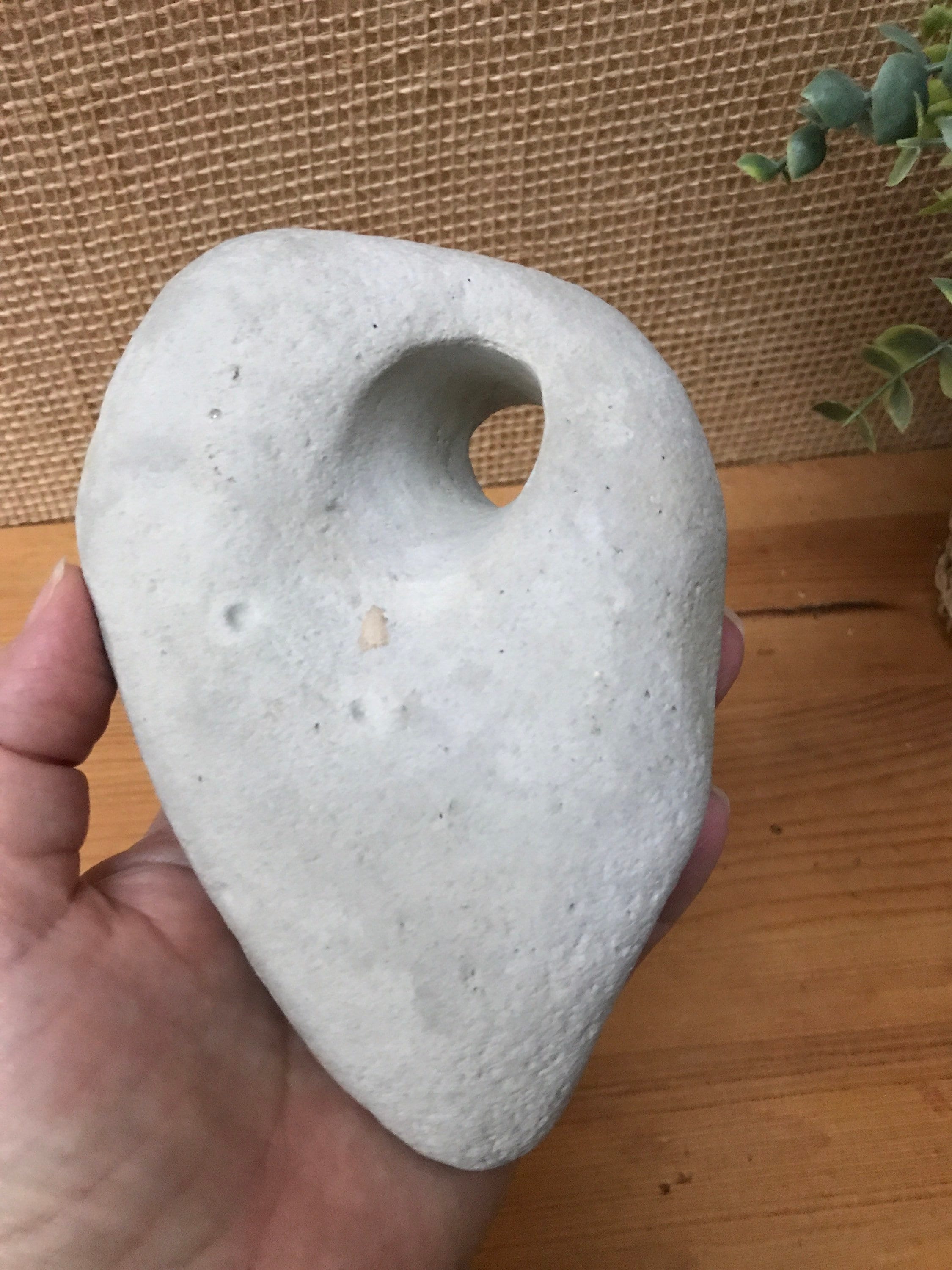 Large Hag Holey Stone Rock Unique Paper Weight or Air Plant | Etsy