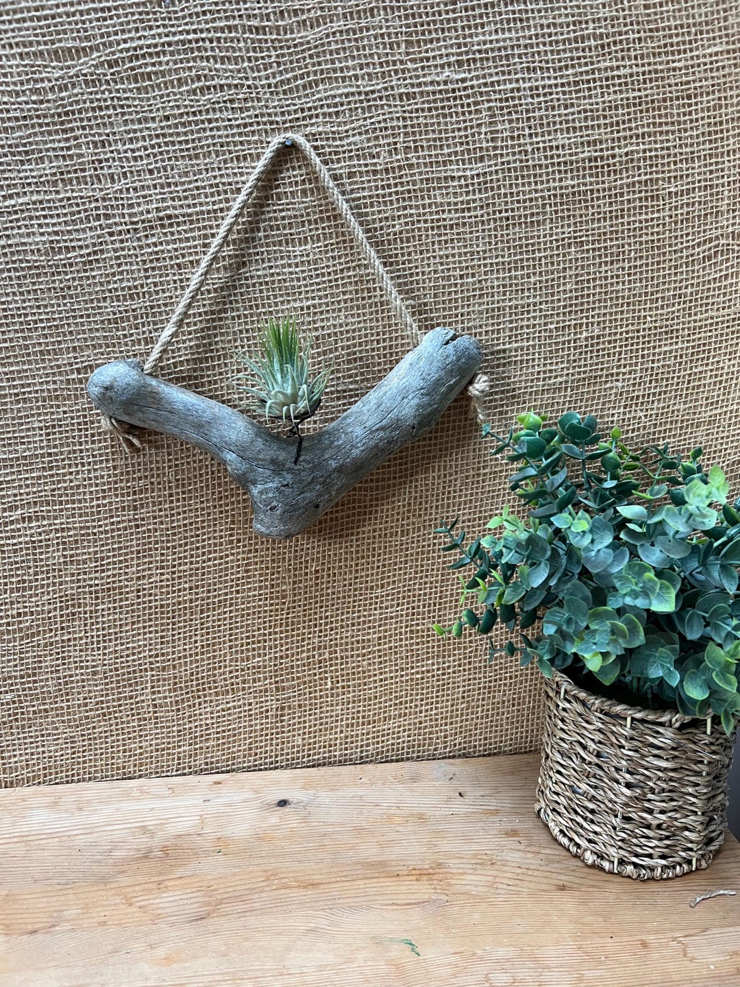 Driftwood Branch 9" - Air Plant Wire Holder "viking Decor" Coastal ...