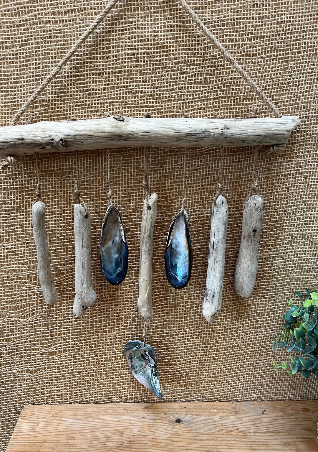 Driftwood Mussel Shell and Abalone Shell Mobile Coastal Decor Viking ...