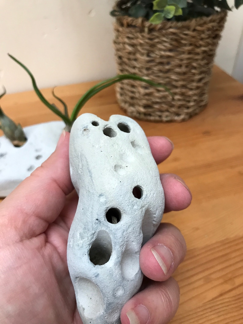 Holey Stone - Hag Stone - Adder Rocks - Meditation -unique - Spiritual ...