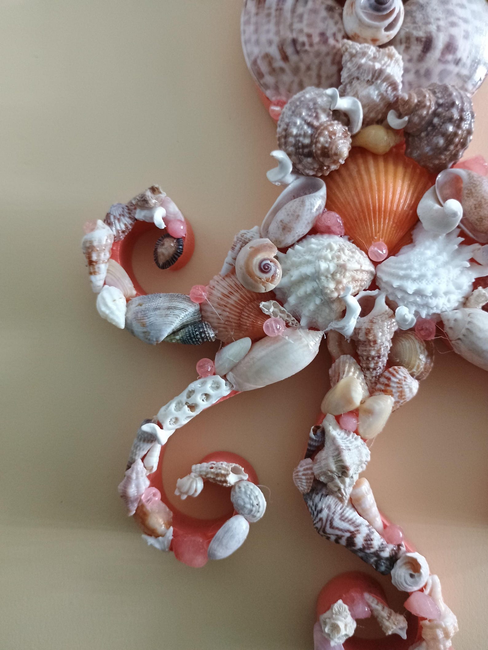 Florida Seashell Octopus 8x4.5 Nautical Beach Wall Decor Gifts for Her ...