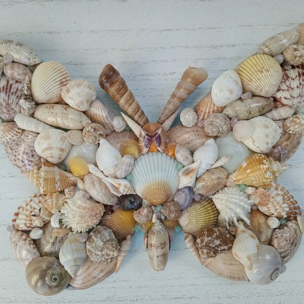 Seashell Butterfly - Etsy