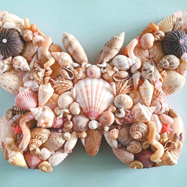 Seashell Butterfly - Etsy