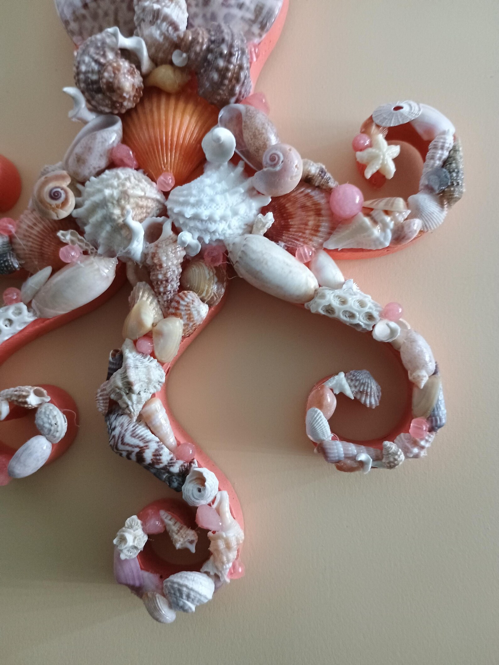 Florida Seashell Octopus 8x4.5 Nautical Beach Wall Decor Gifts for Her ...