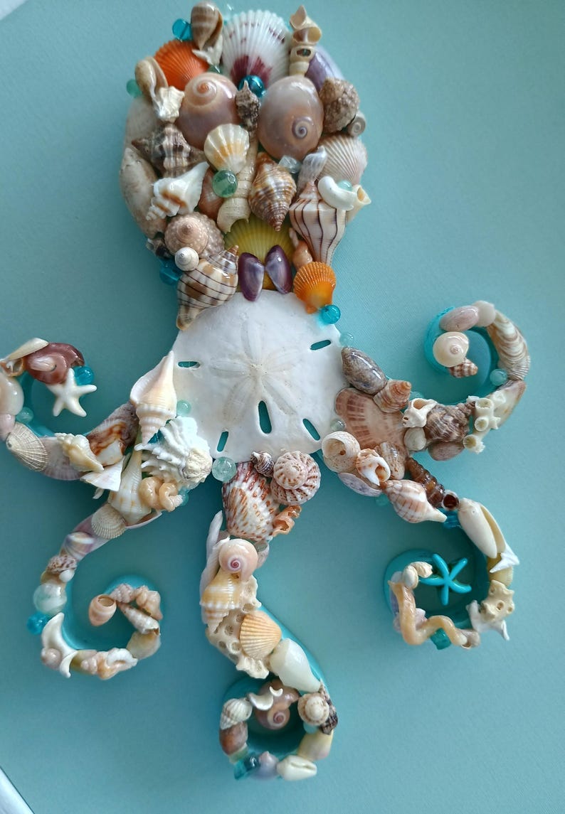 Florida Seashell Octopus 8x5 In. Nautical Beach Wall Decor Gifts for ...