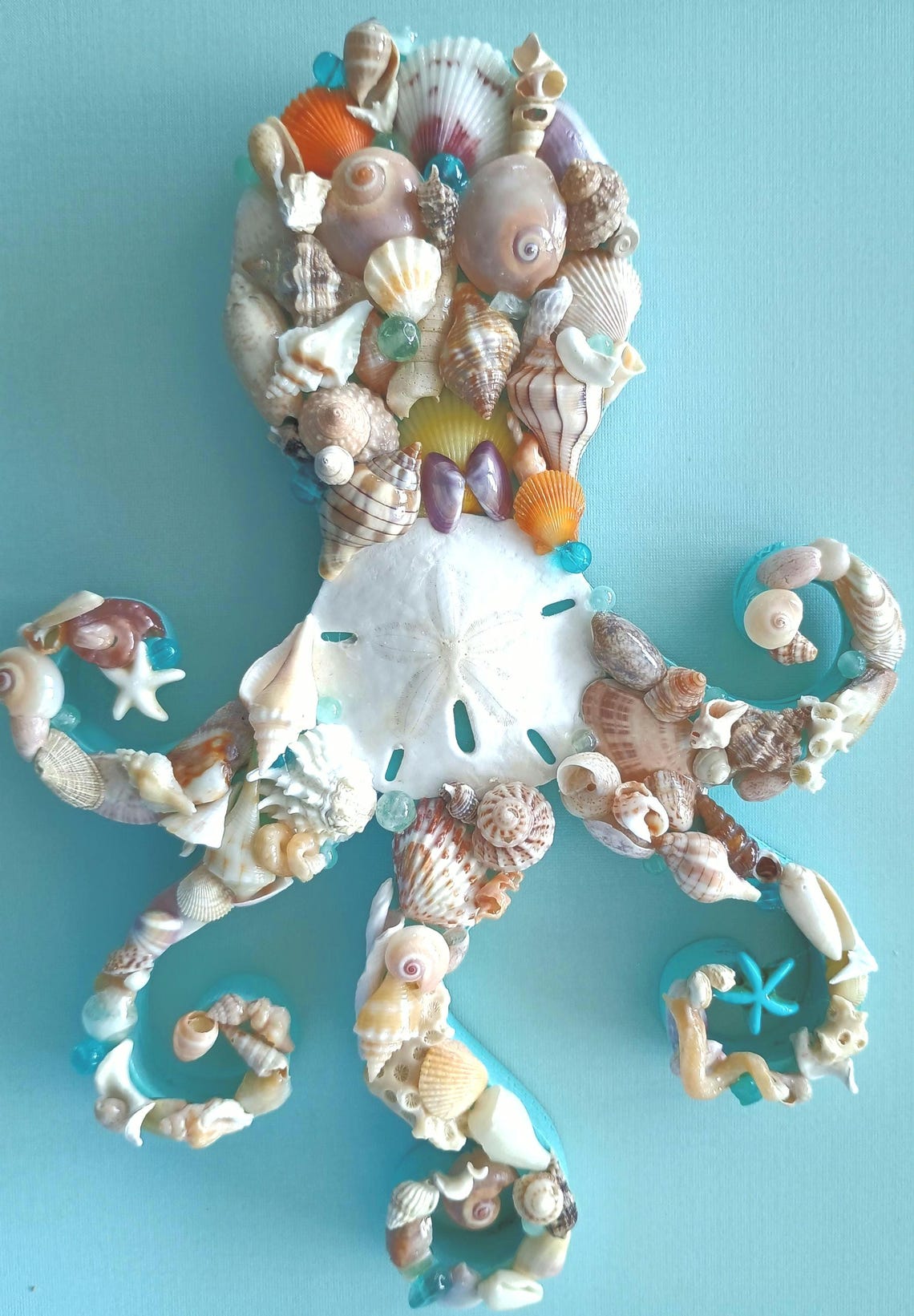 Florida Seashell Octopus 8x5 In. Nautical Beach Wall Decor Gifts for ...