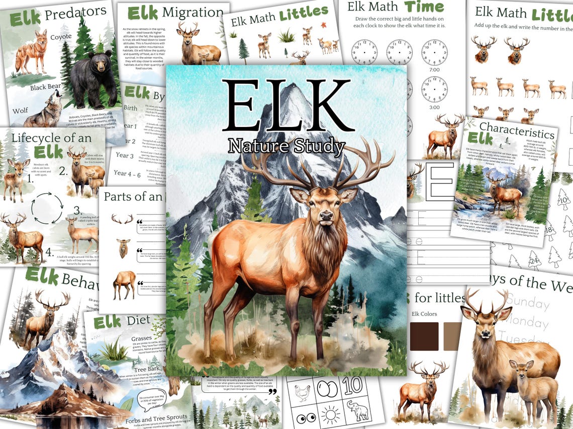 ELK Nature Unit Study, Lifecycle, Anatomy, Predators, Homeschool ...