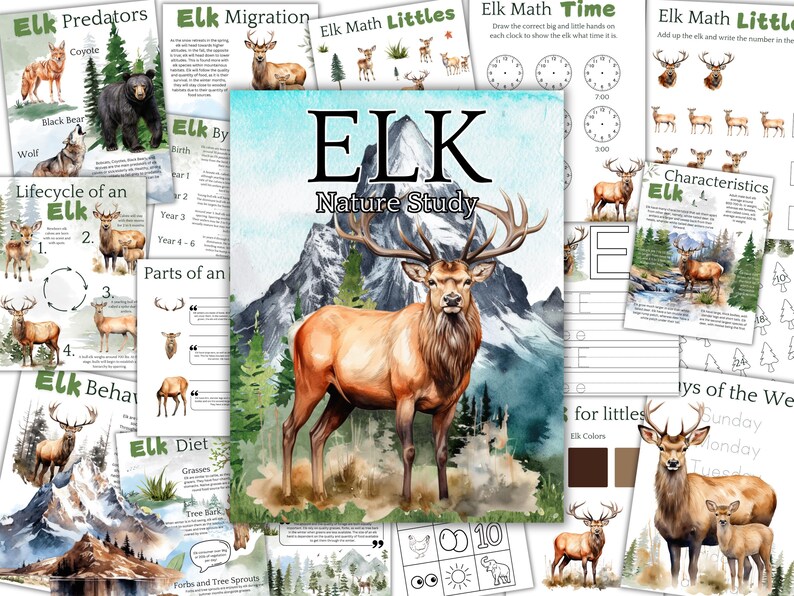 ELK Nature Unit Study, Lifecycle, Anatomy, Predators, Homeschool ...
