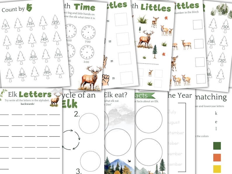 ELK Nature Unit Study, Lifecycle, Anatomy, Predators, Homeschool ...
