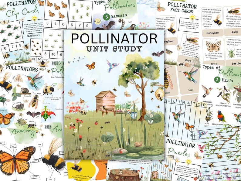 POLLINATOR Unit Study - SPRING POLLINATION School Classroom Printable ...