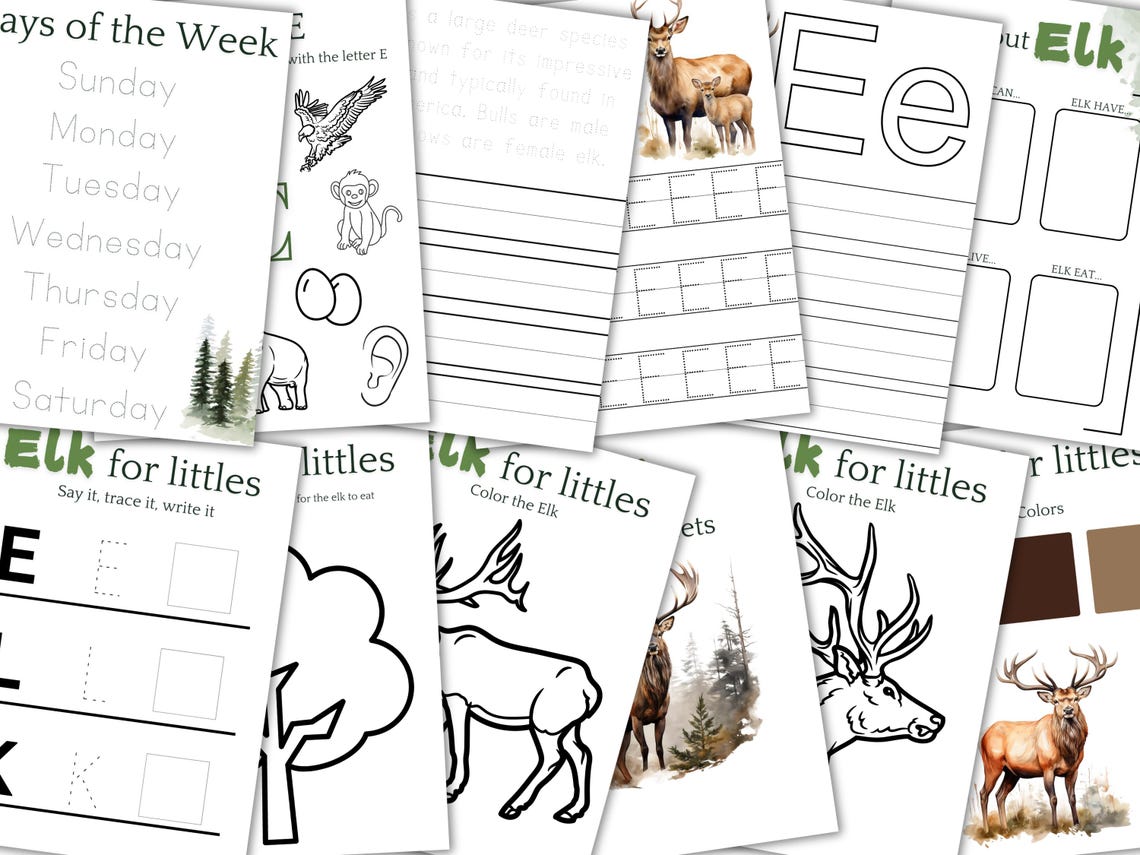 Elk Unit Study Homeschool Printables - Kindergarten Toddler Book Elk ...