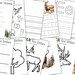 ELK Nature Unit Study, Lifecycle, Anatomy, Predators, Homeschool ...