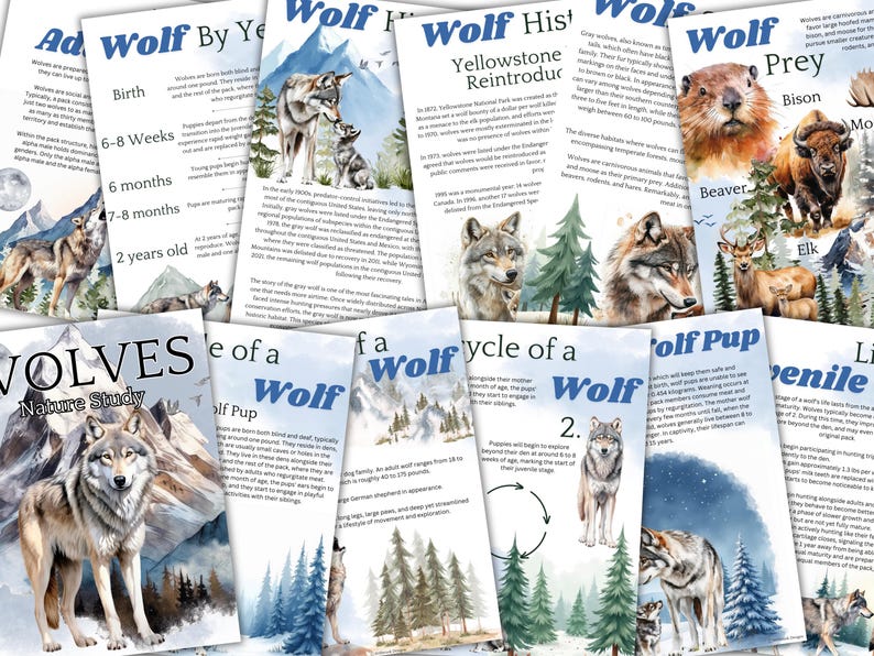 WOLVES Nature Unit Study, Wolf Lifecycle, Anatomy, Predators ...