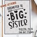 Promoted to Big Sister, Cute New Baby Announcement Digital Cut Files ...
