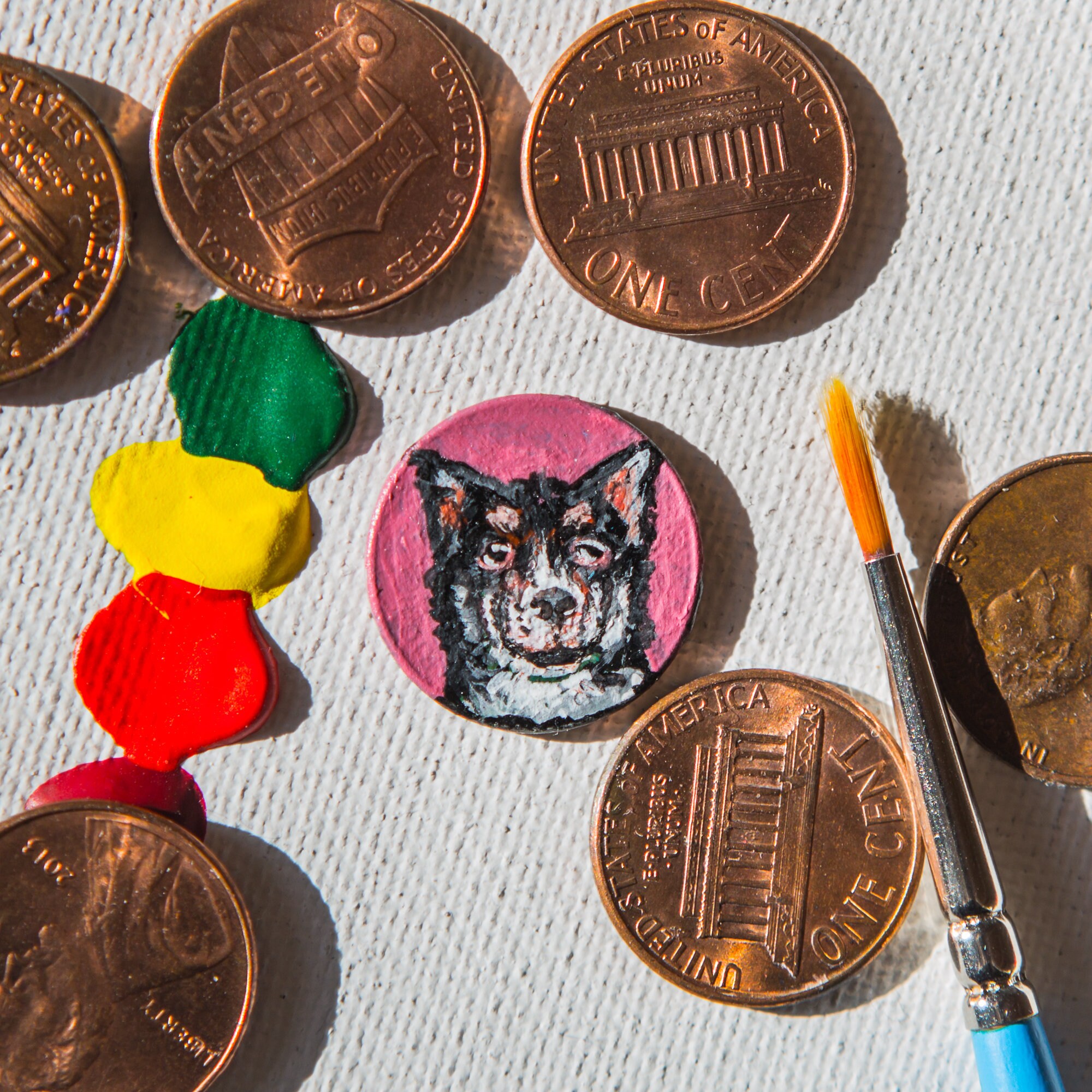 Pet Parent Gift, Coin Collection, Custom Pet Artwork on a Penny - Etsy