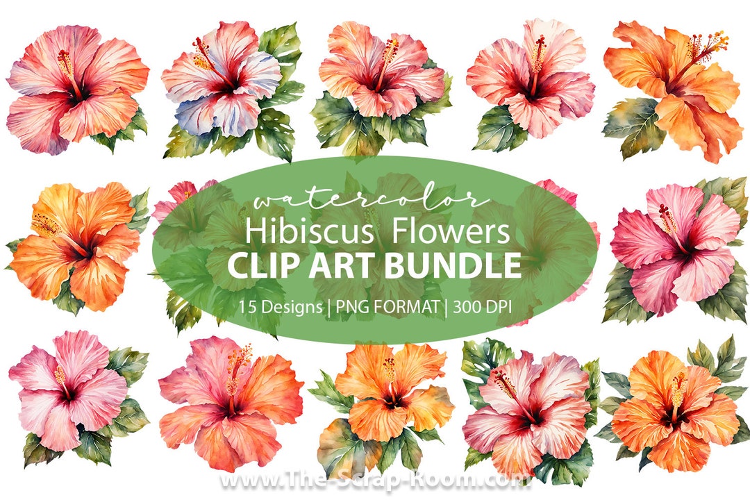 Hibiscus Flowers Watercolor Clip Art Designs, Hibiscus Clip Art, Floral ...
