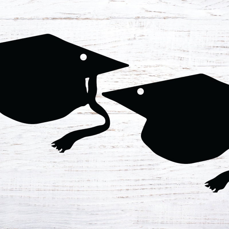 Graduation Banner Svg - Etsy