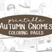Printable Coloring Page Bundle Autumn / Fall Gnomes Coloring Pages for ...