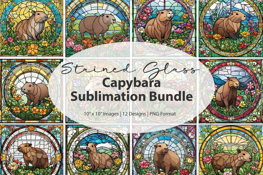 Stained Glass Capybara Png Bundle, Wind Spinner PNG Bundle, Stained ...