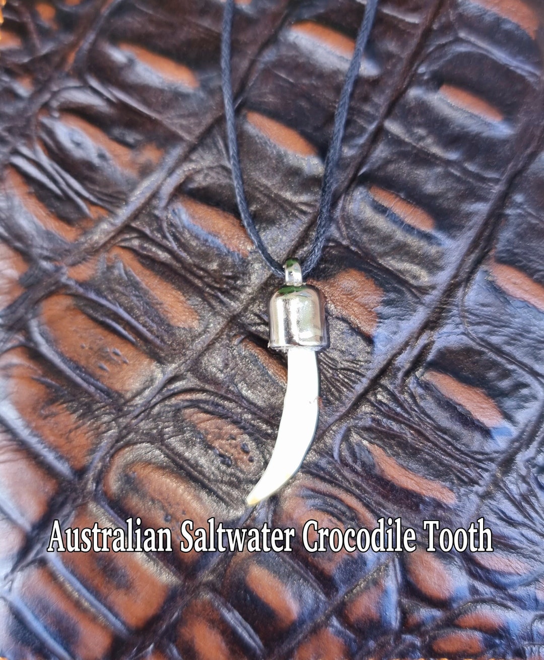 Genuine Handmade Australian Saltwater Horn Back Crocodile 3.cm Tooth ...