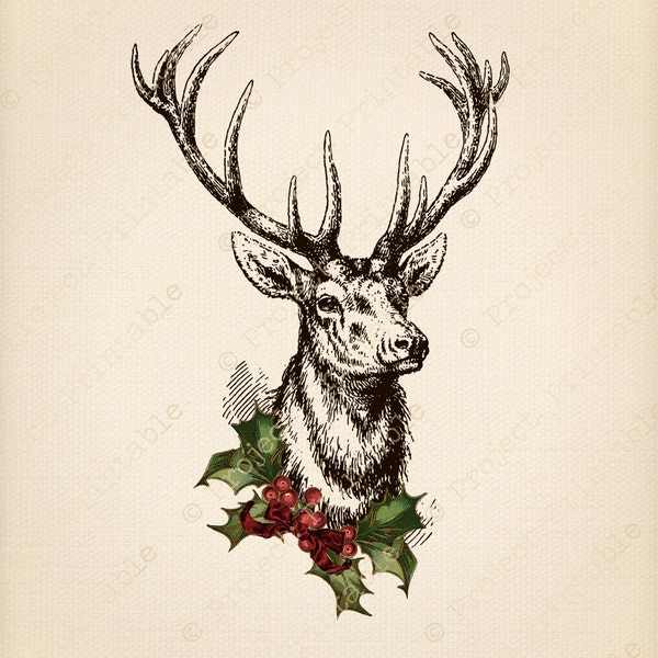 Stag - Etsy
