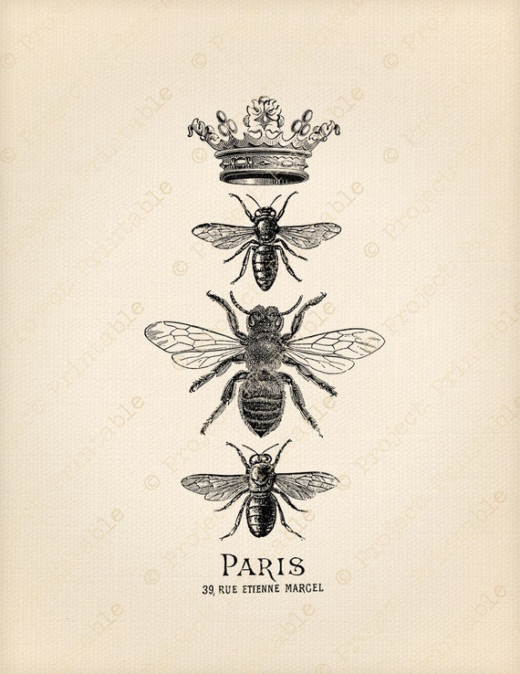 Vintage Bee Clip Art