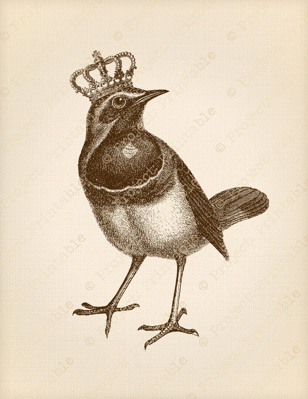 Bird Crown Clipart Digital Download Instant Download | Etsy Canada