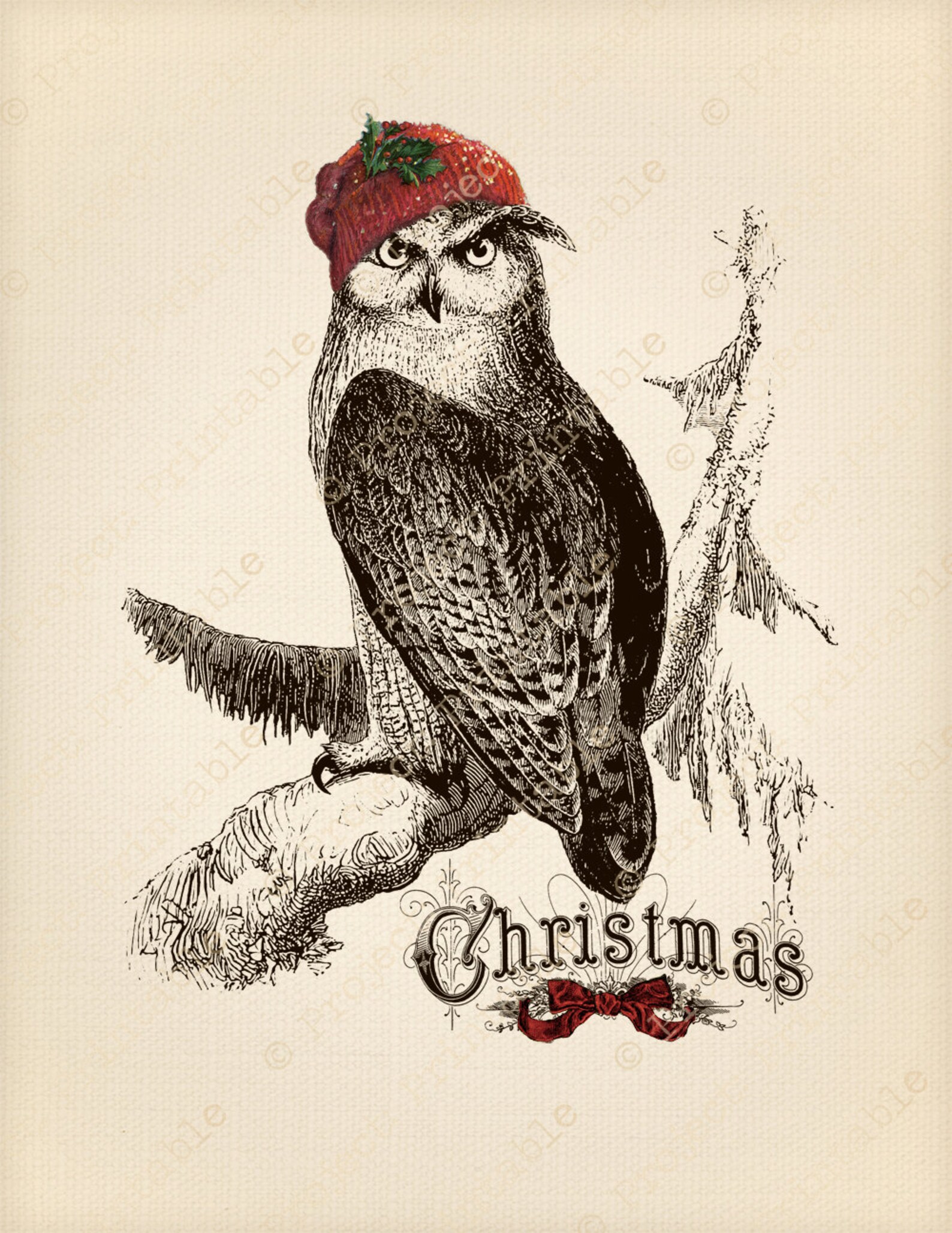 Instant Download Printable CHRISTMAS OWL Holly COLOR Fabric - Etsy