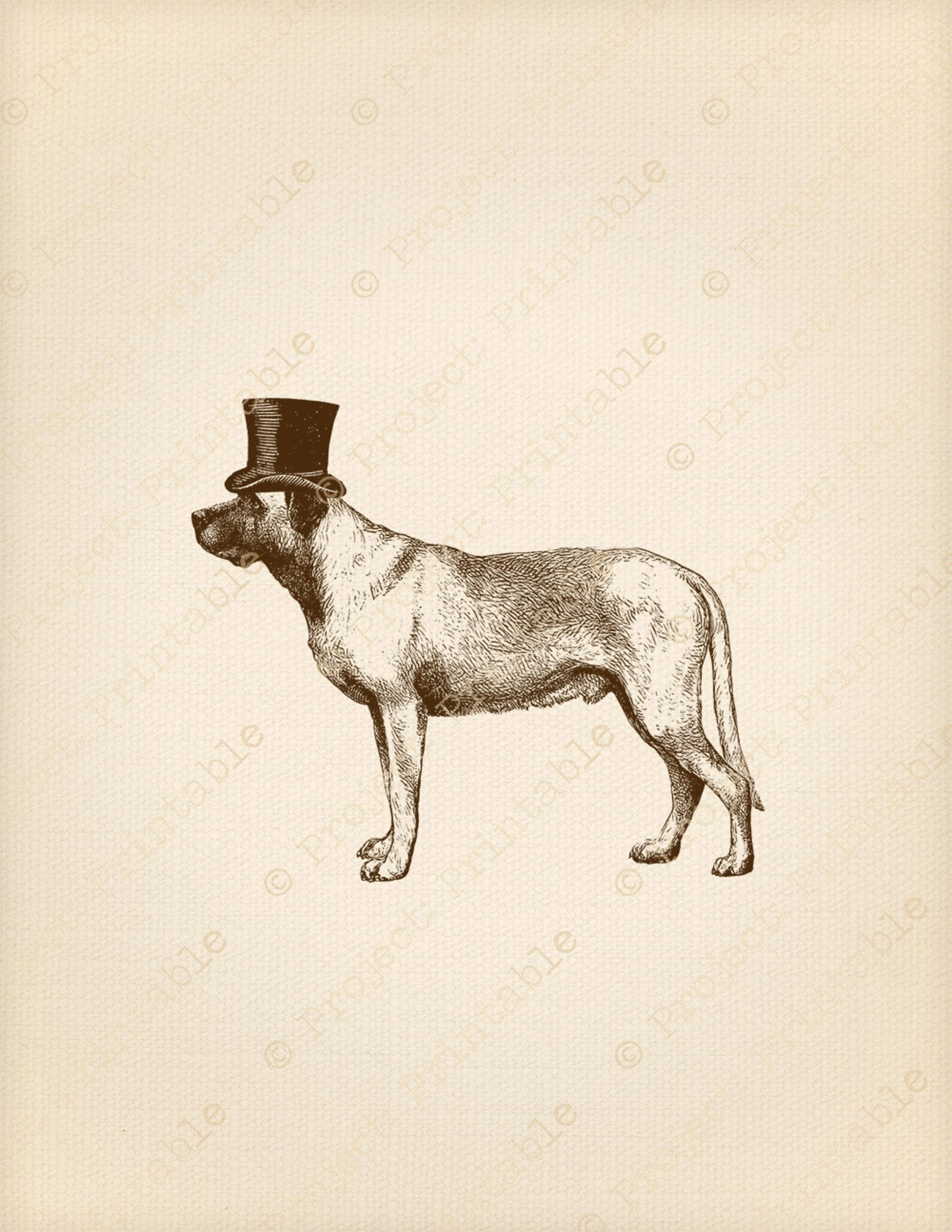 Instant Download Printable MASTIFF DOG Top Hat Animal - Etsy