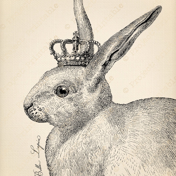 French Rabbit Image - Etsy