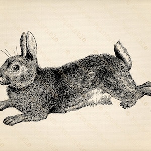 Printable Digital Graphics Vintage Bunny RABBIT Clip Art Instant ...