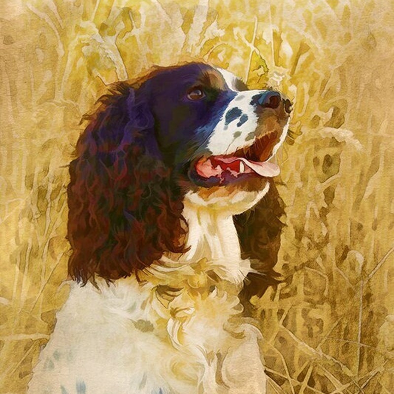 Spaniel Art - Etsy
