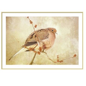 Dove Print, Mourning Dove Art, Bird Lover Gift, Avian Artwork, Bird ...