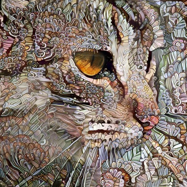 Cat Zentangle - Etsy