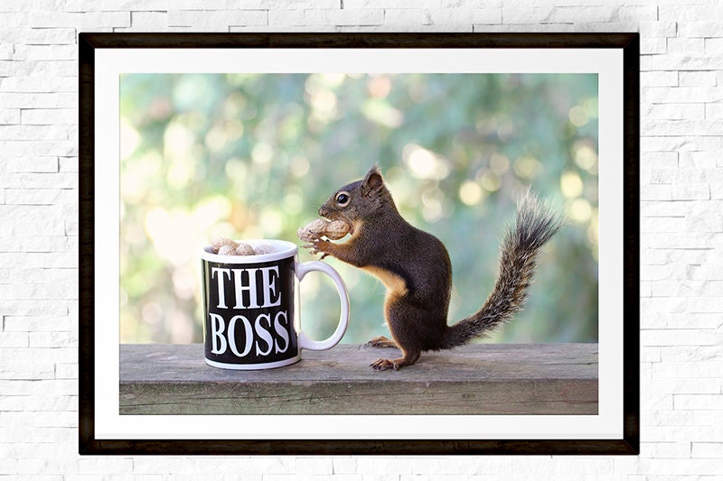 Boss Gifts Funny Gift for Her Squirrel Print Gift for Boss | Etsy