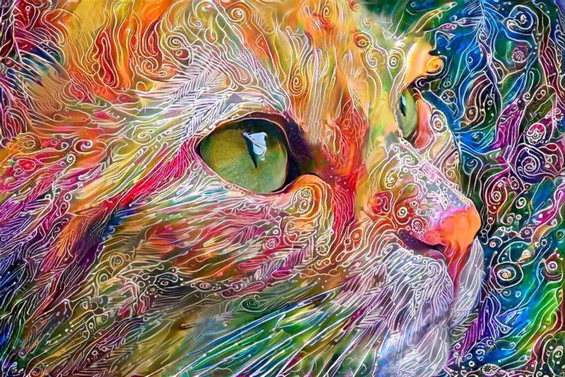 Ginger Cat Art Orange Cat Print Colorful Cat Art Cat Wall | Etsy