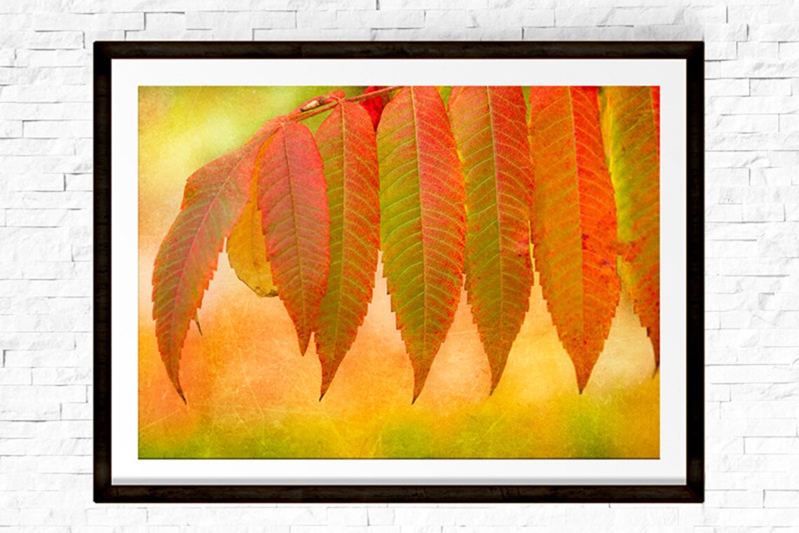 Leaf Print Nature Print Fall Leaves Colorful Wall Art - Etsy