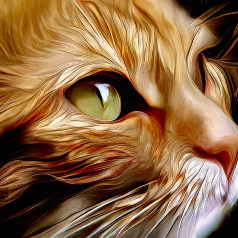 Ginger Cat - Etsy