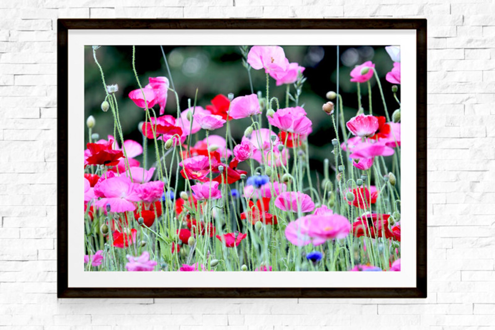 Poppies Print Flowers Art Wildflowers Print Pink and Red - Etsy
