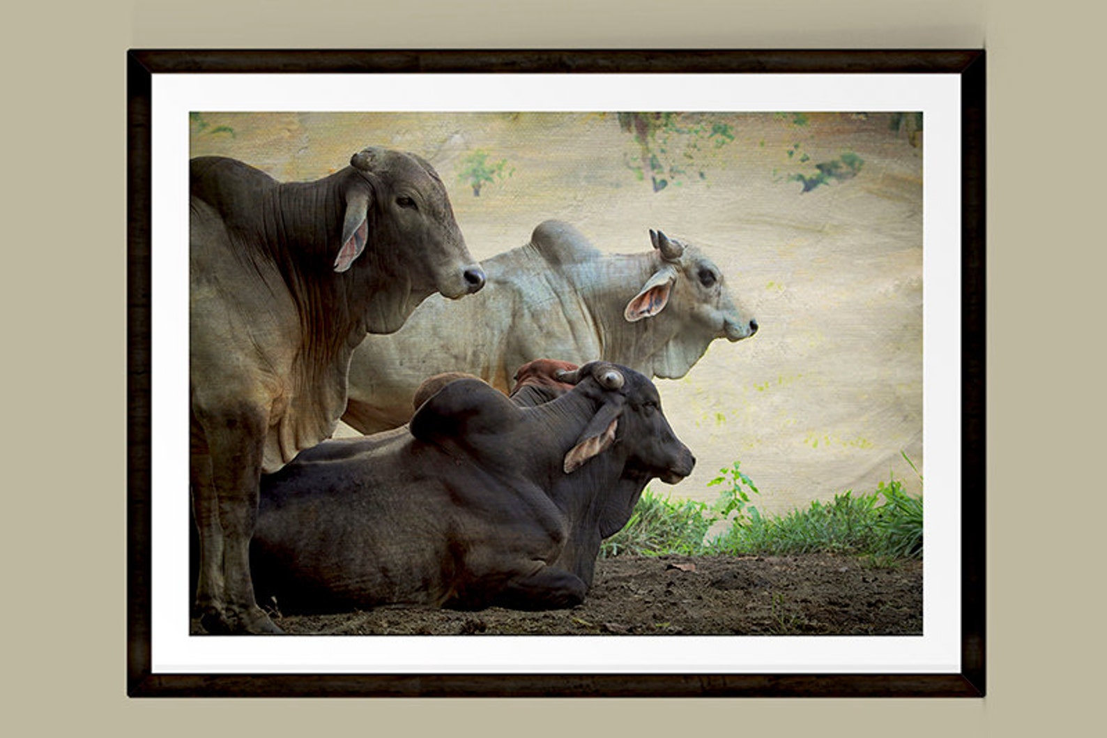 Animal Print Cattle Cow Print Cow Photography Cow Art | Etsy