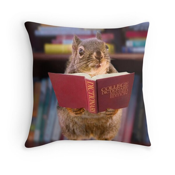 Squirrel Pillow - Etsy