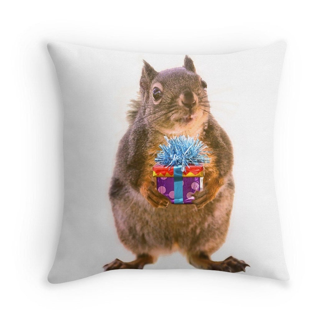 Squirrel Cushion, Squirrel Pillow, Funny Cushion, Funny Birthday Gift ...