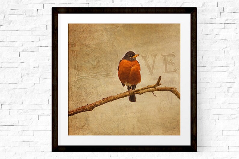 Robin Bird Print Mothers Day Gift Love Print Girlfriend | Etsy