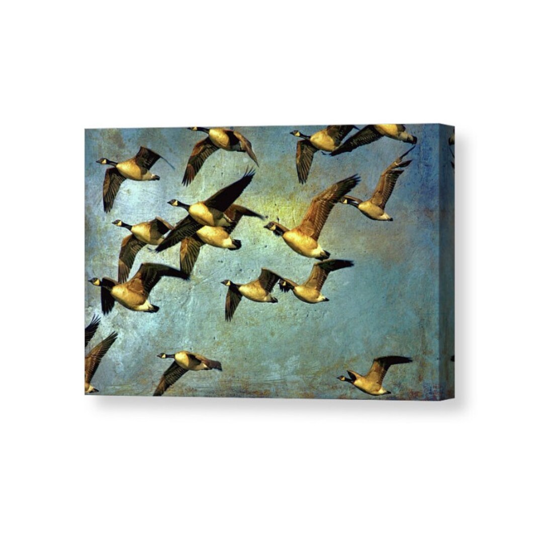 Bird Canvas, Living Room Decor, Canvas Wall Art, Wrapped Canvas, Canada ...