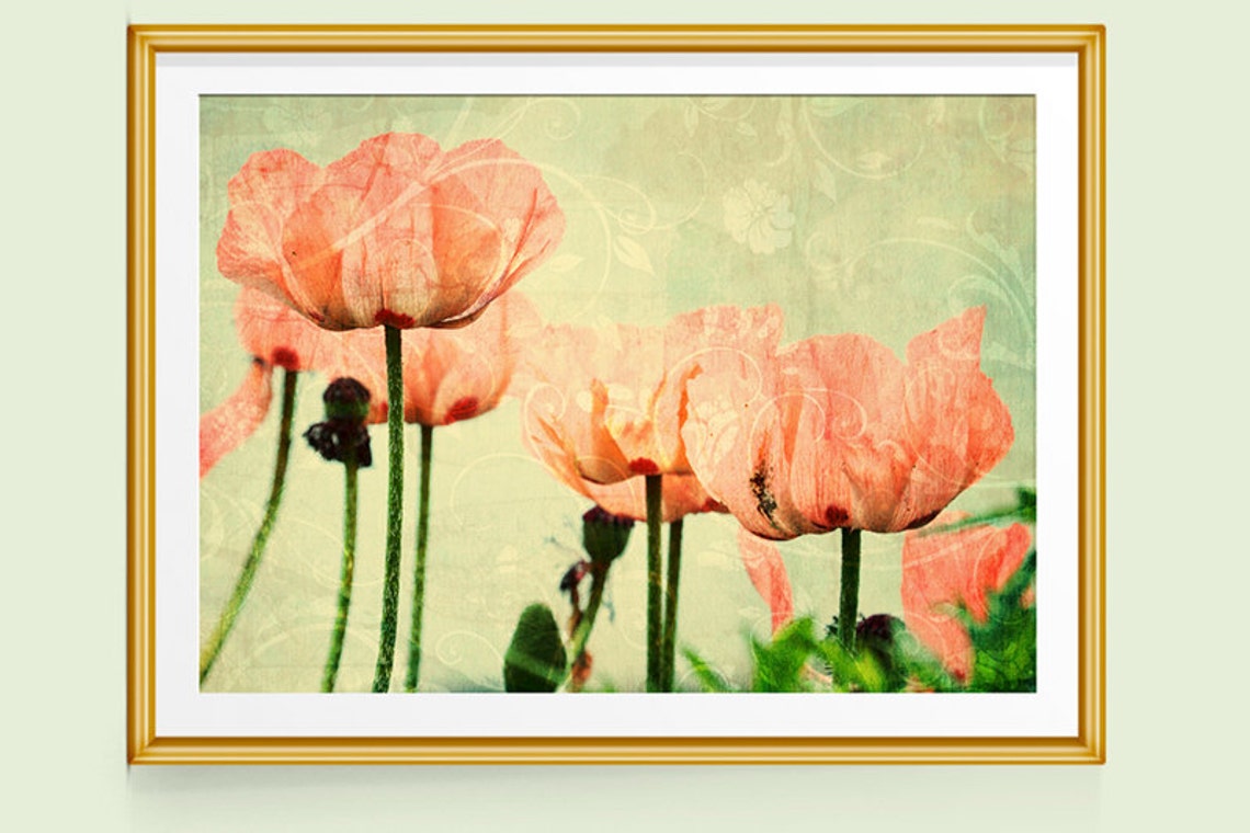 Poppy Print Poppy Wall Art Poppy Decor Poppies Art Fine | Etsy