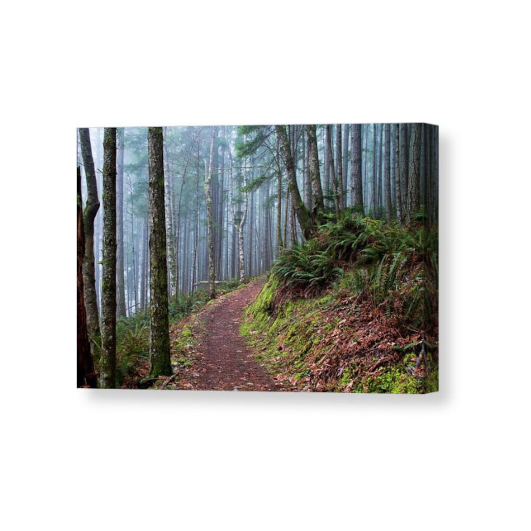 Forest Canvas, Forest Decor, Landscape Canvas, Tree Canvas, Woodland ...