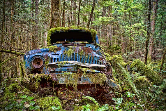 Abandoned Rare Cars