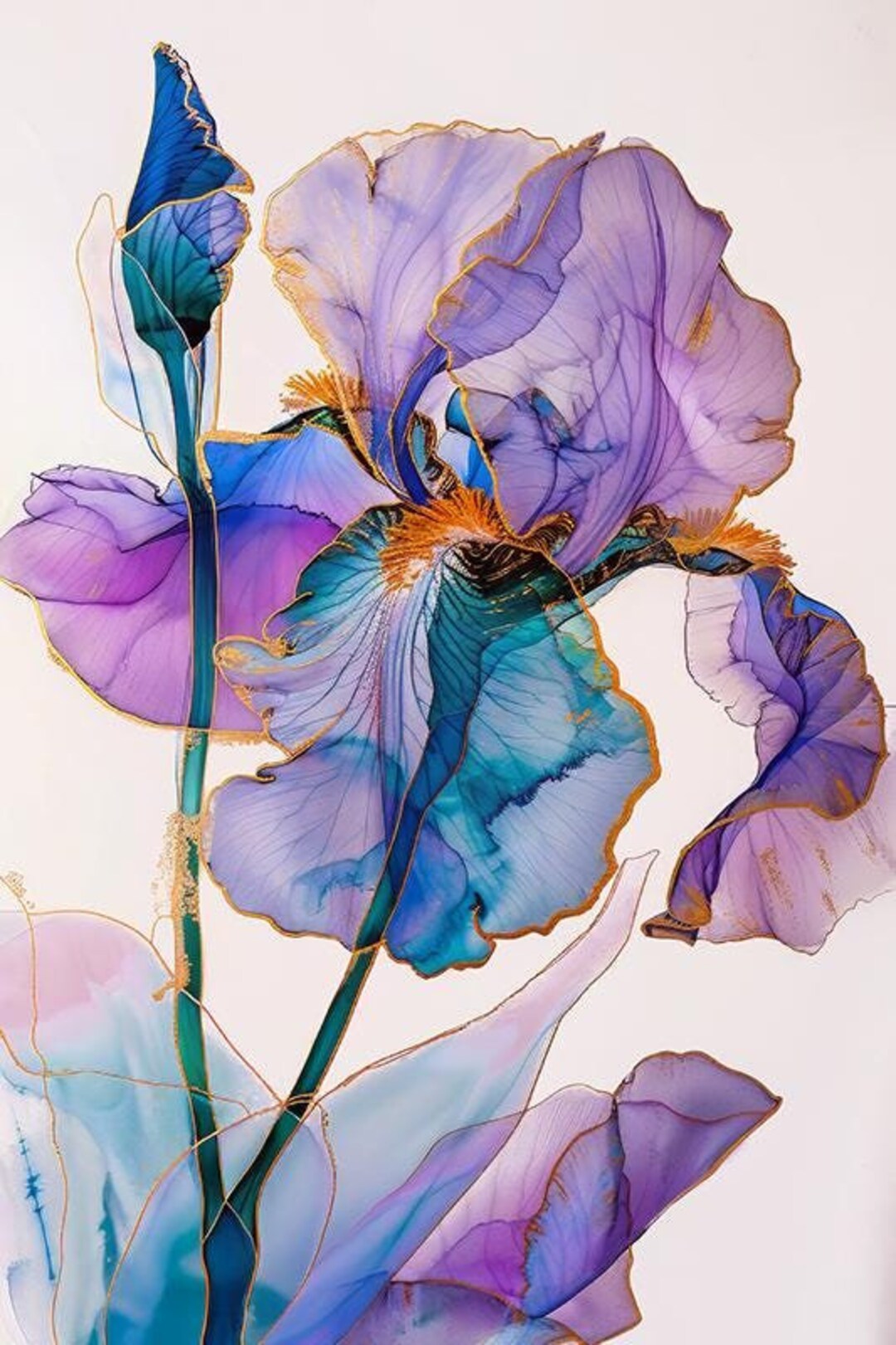 Iris Print, Iris Art, Bearded Iris, Flower Art, Irises Artwork ...