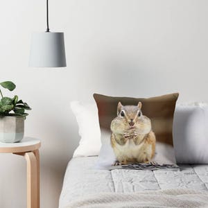 Chipmunk Pillow, Funny Cushion, Funny Pillow, Cute Animals, Chipmunk ...